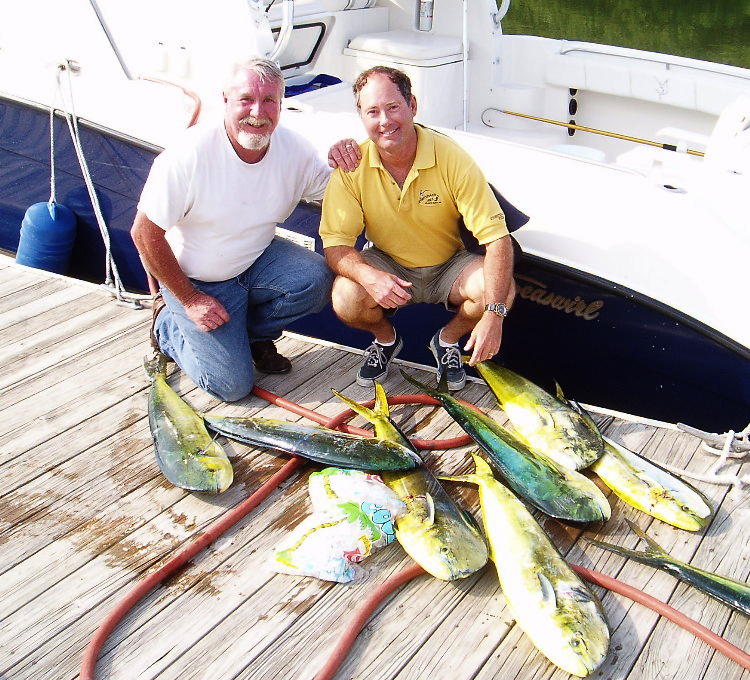 Study affirms seafood to be a healthy food choice