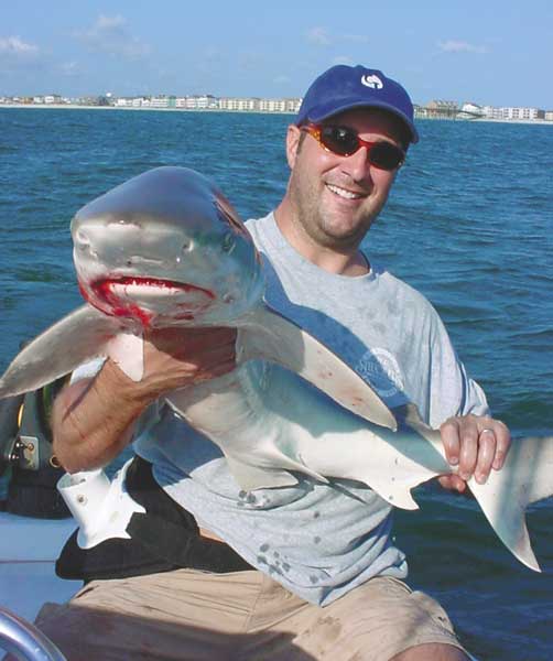 Putting the Bite on Jaws