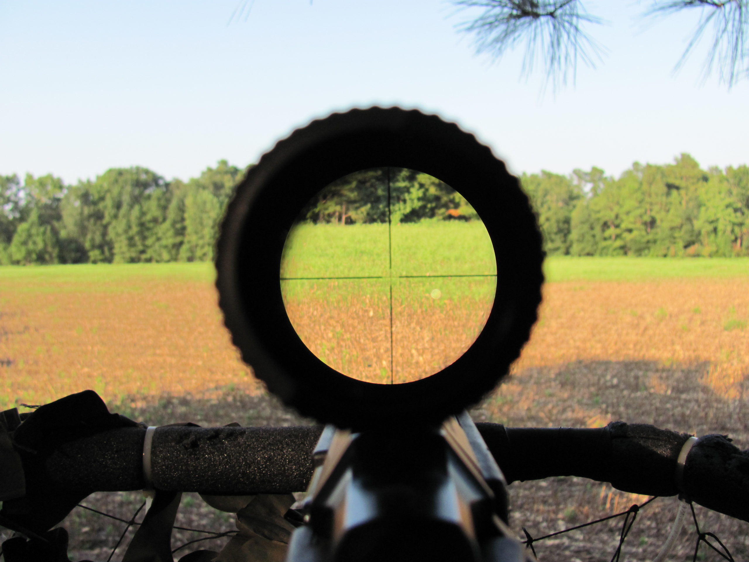 Good optics are essential when deer hunting during the rut