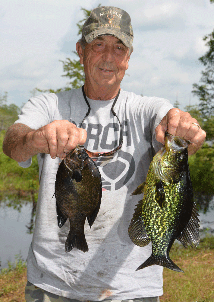 Intro to ‘Grow Big Fish’ Management Series