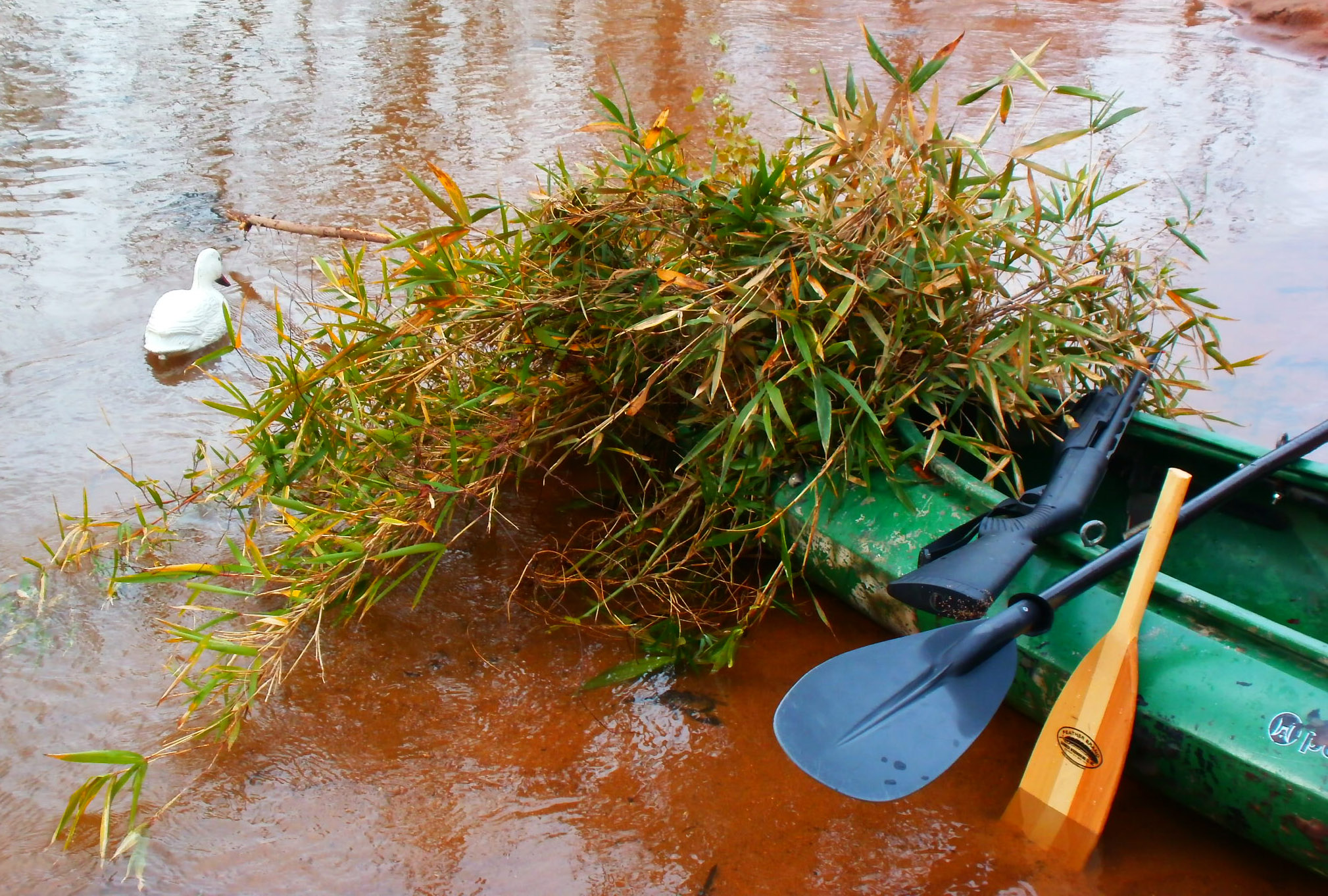 Tips for floating rivers
