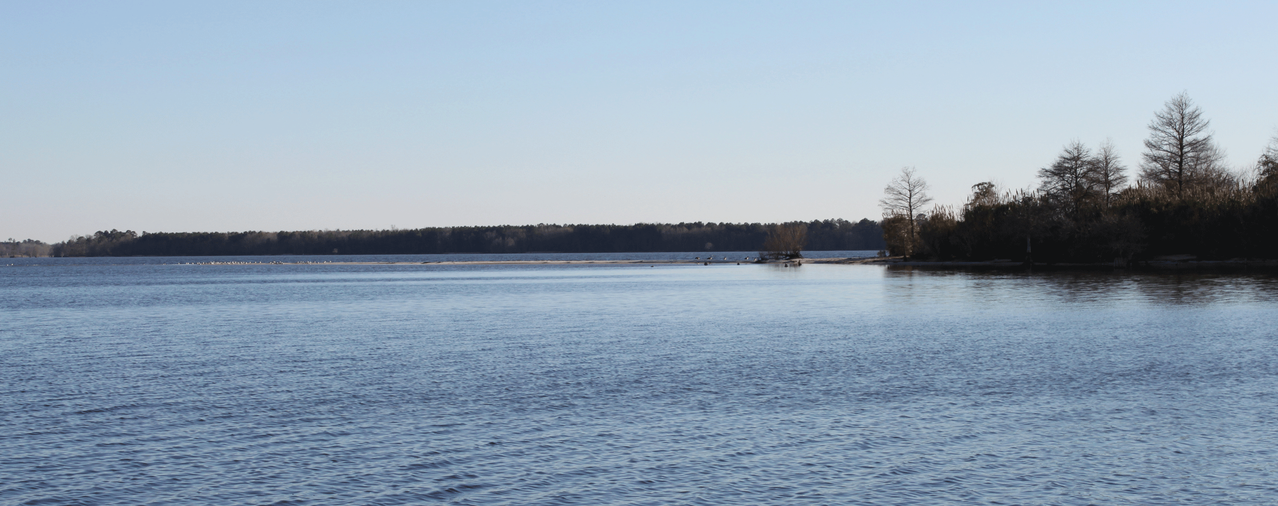 Lake of the Month: Lake Marion – Carolina Sportsman