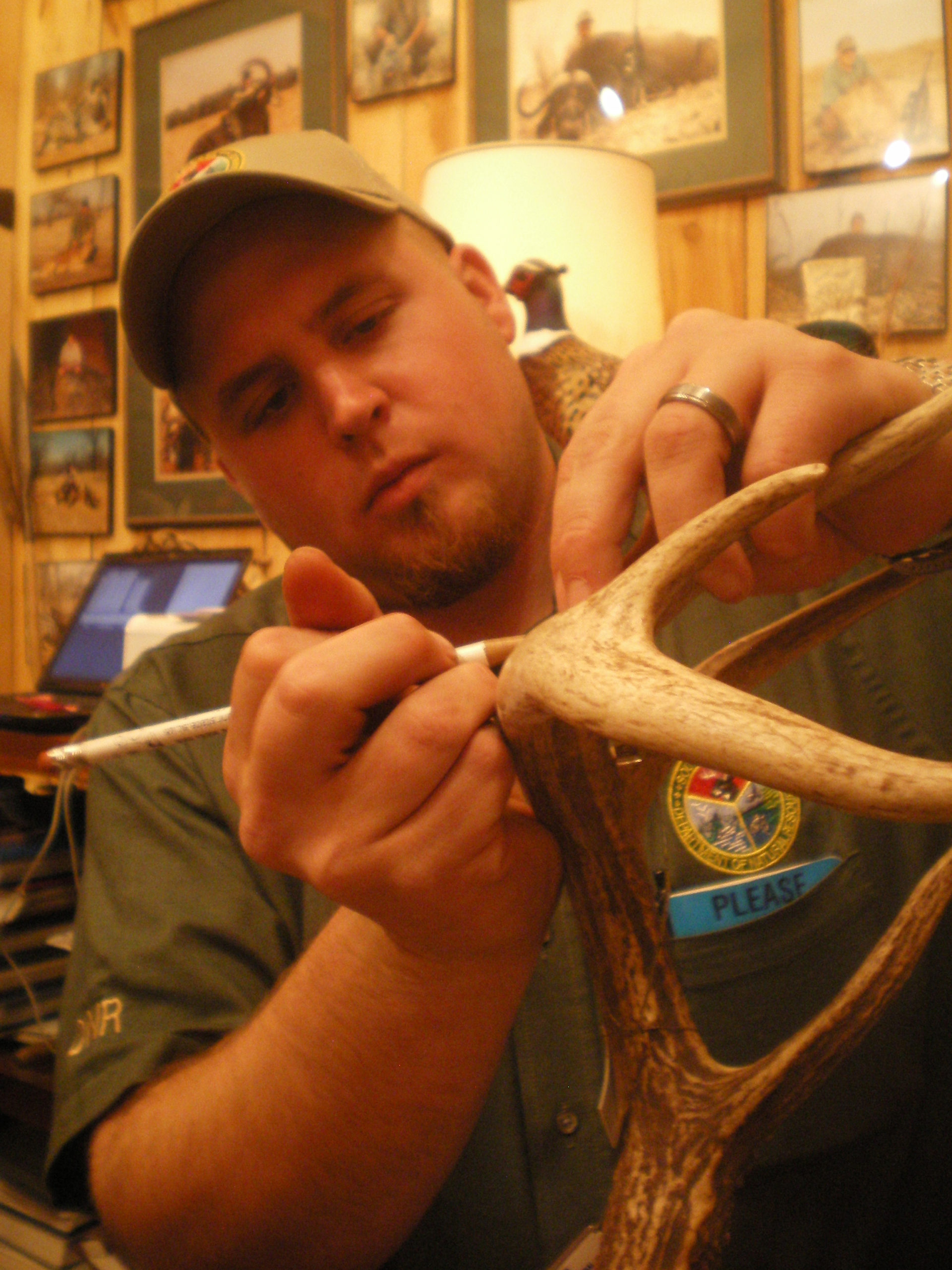 Antler scoring sessions scheduled across South Carolina in March