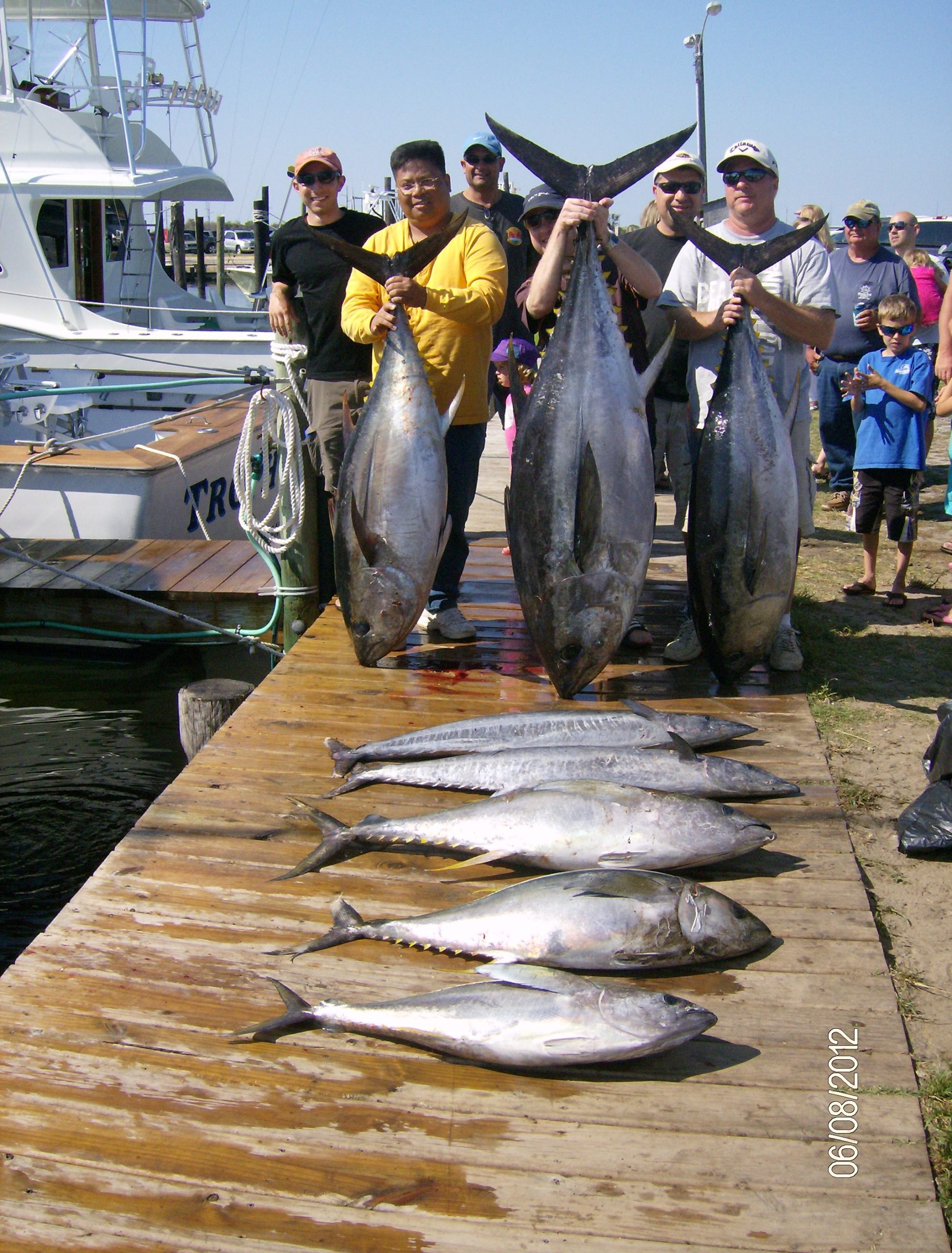 Bigeye Tuna Facts