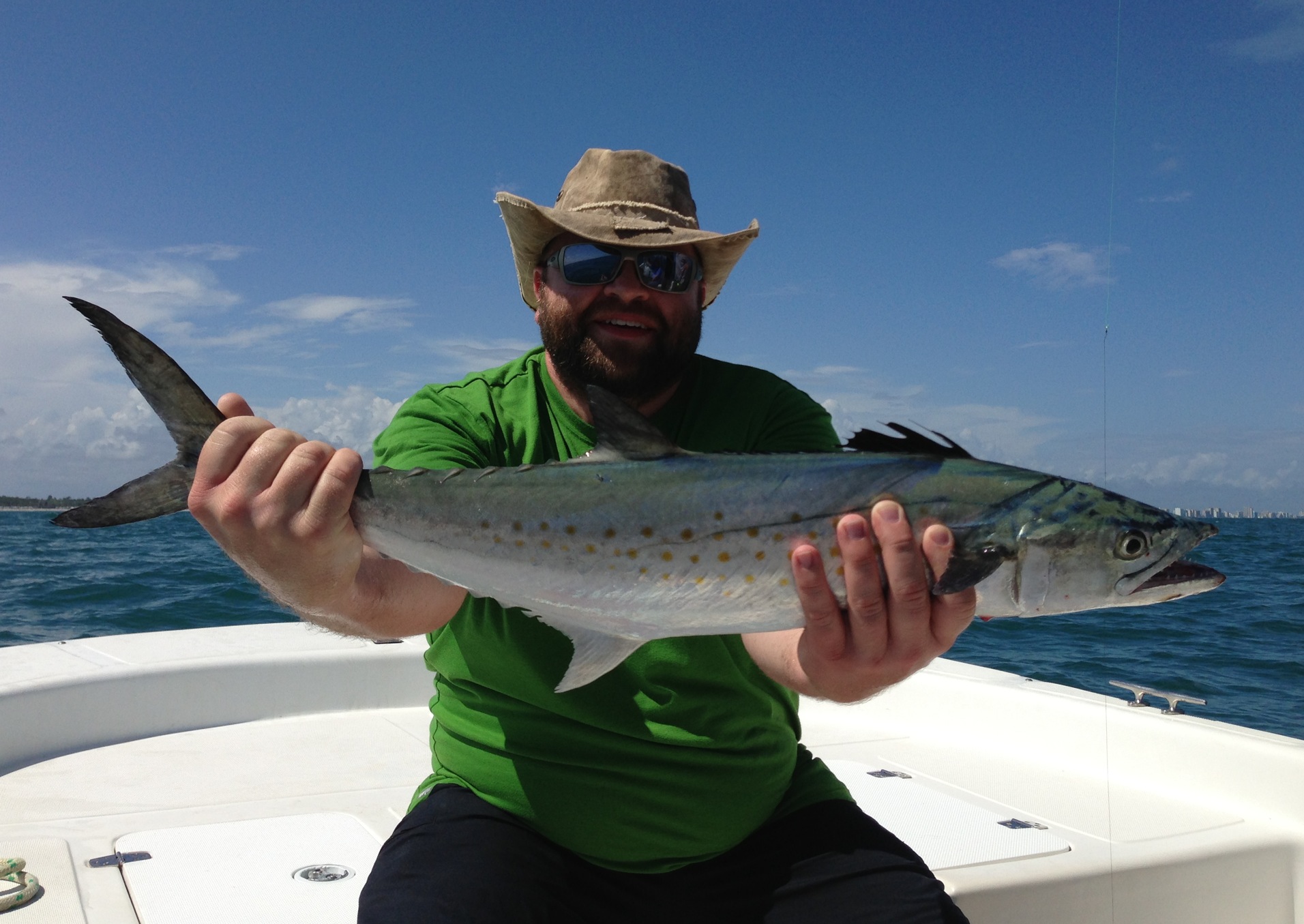 Spanish, cobia, bluefish, sharks, kings all feeding on menhaden outside ...