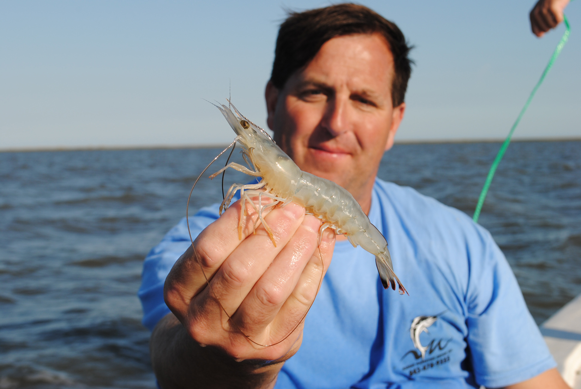 Commercial shrimping suspended off South Carolina coast until May 31