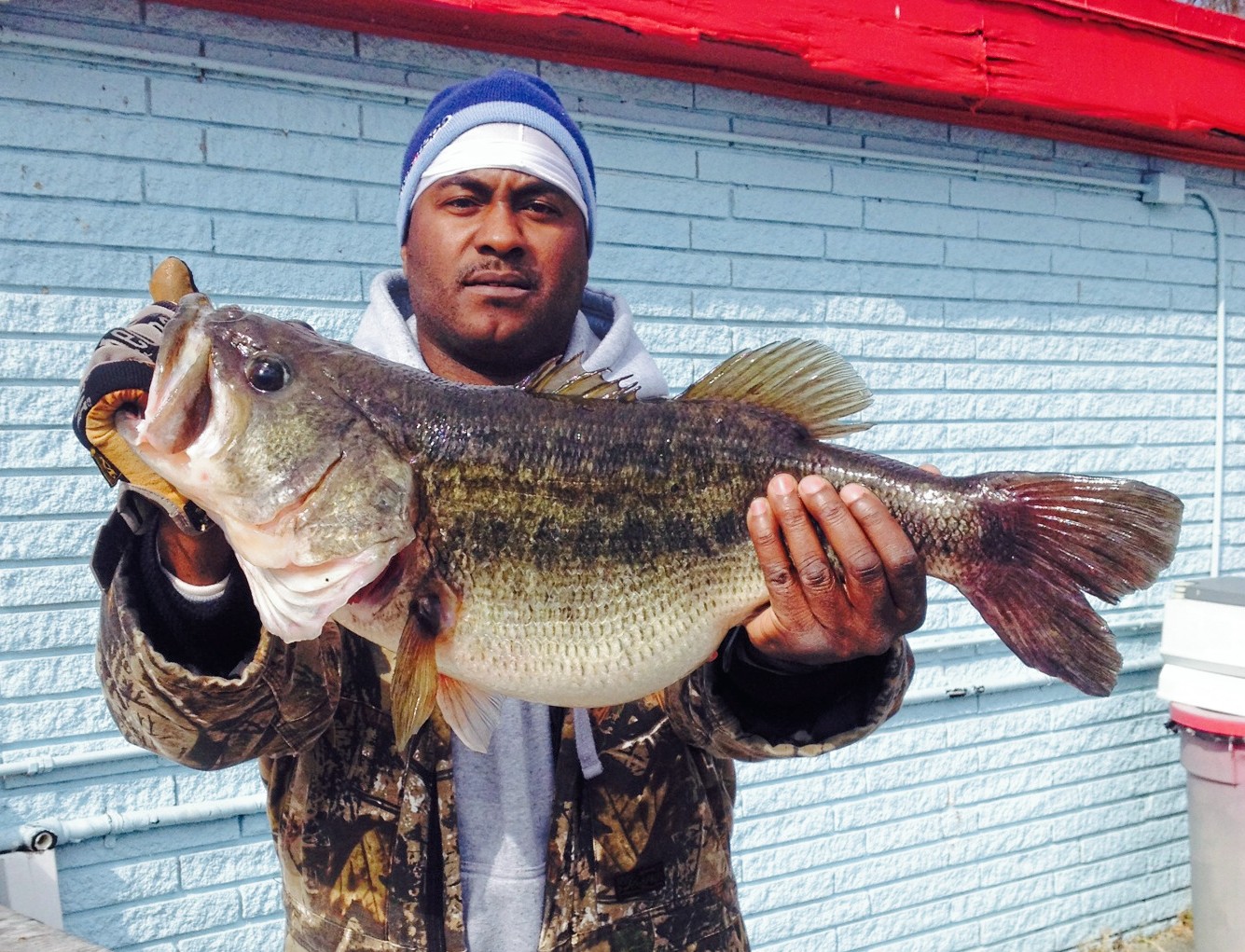 Tilapia, a local favorite baitfish, are drawing plenty of strikes from ...
