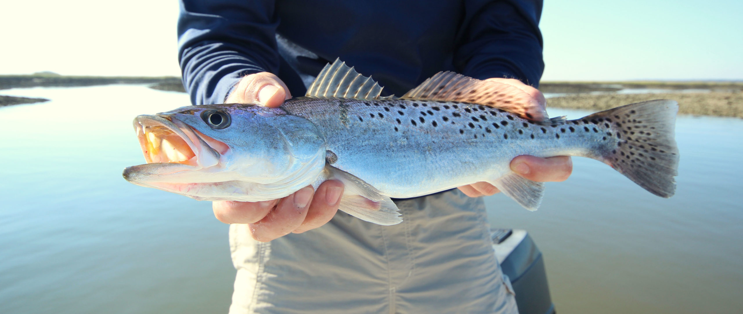 South Carolina speckled trout fishing in the cold