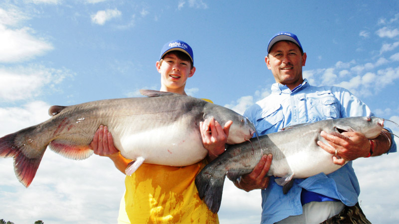 Planning is important for catching catfish in the dog days of summer