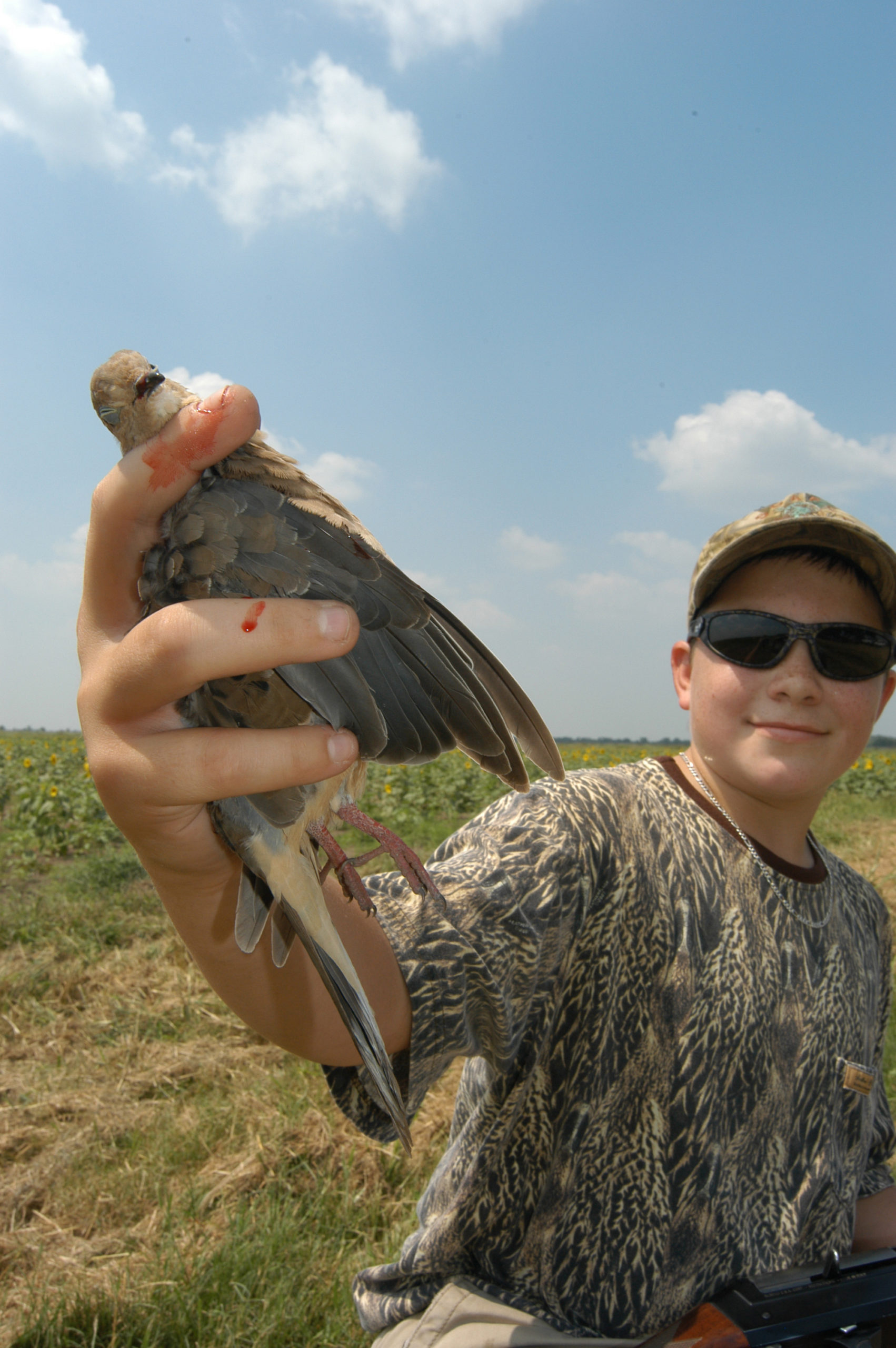 Dove hunters will have plenty of public fields to shoot in SC