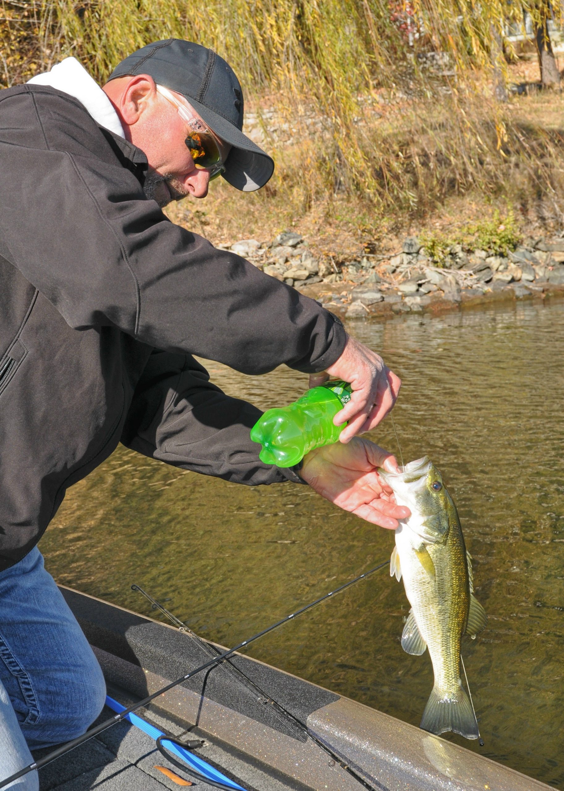 Mountain Dew will aid bleeding bass