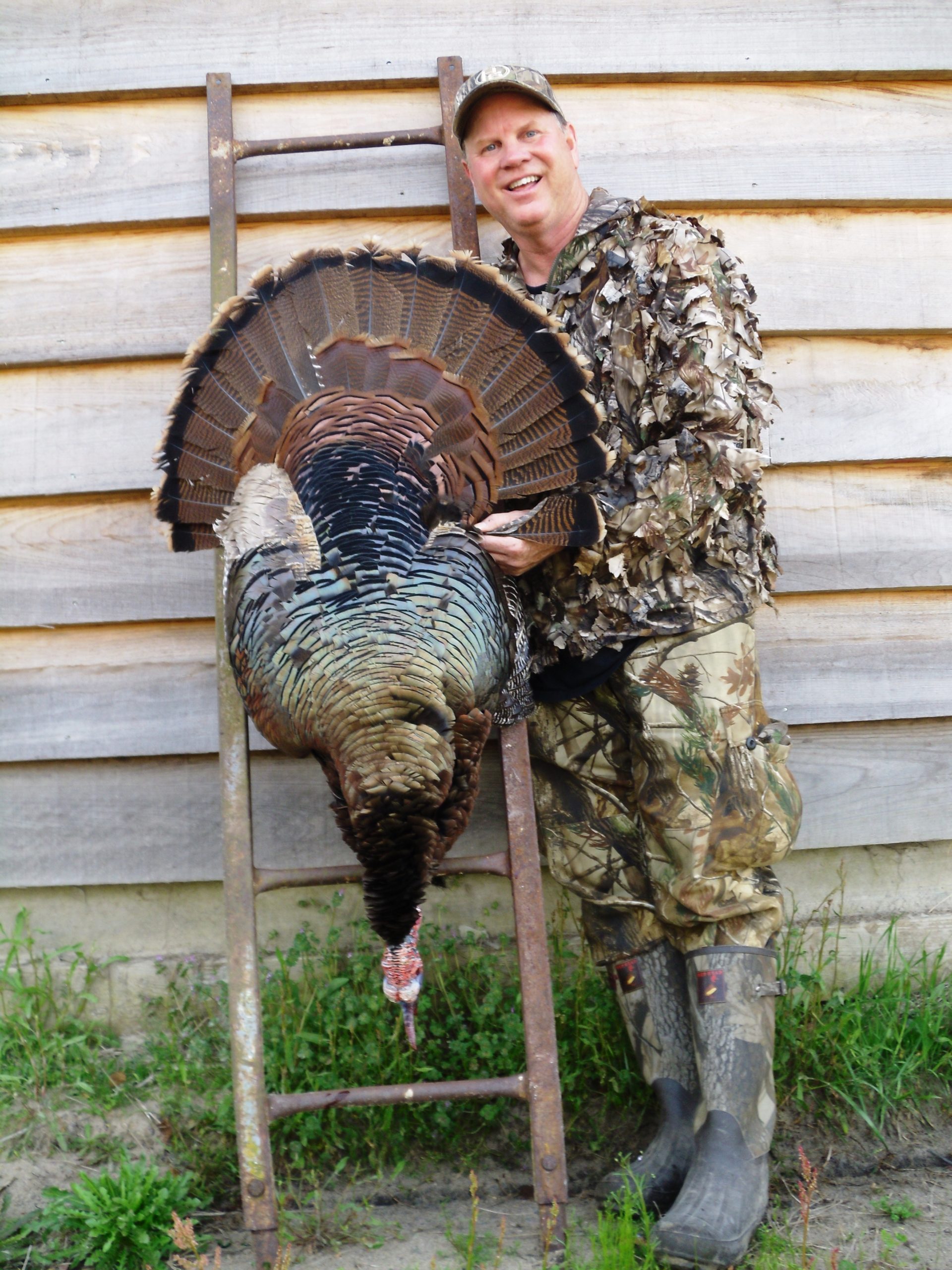 Henned-up South Carolina gobblers are tough, but they can be tamed