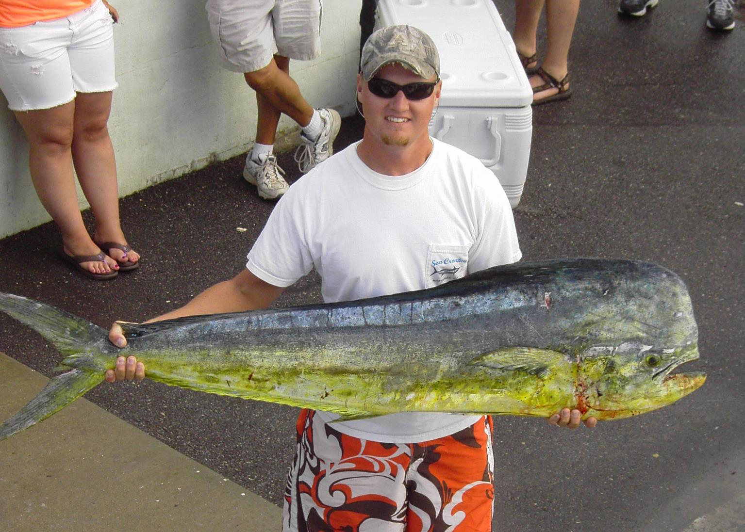 Morehead City bluewater anglers experiencing amazing dolphin bite