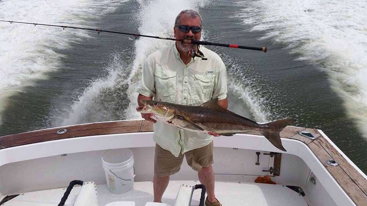 Cobia fishing particulars