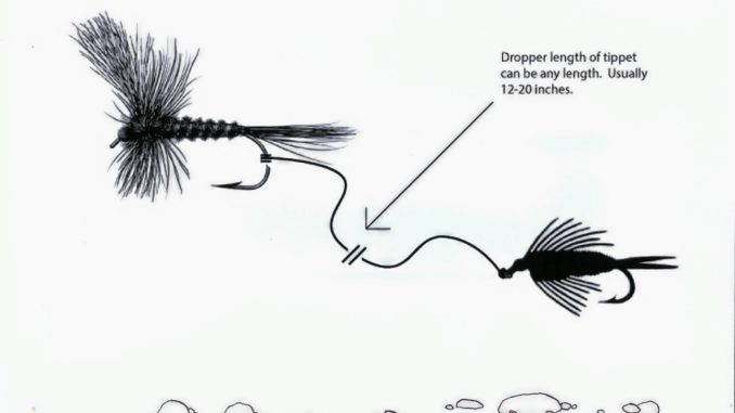 North Carolina trout fishermen should consider double-dropper set up