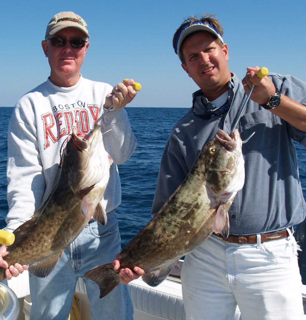 Federal fisheries managers change annual catch limits for gag grouper ...