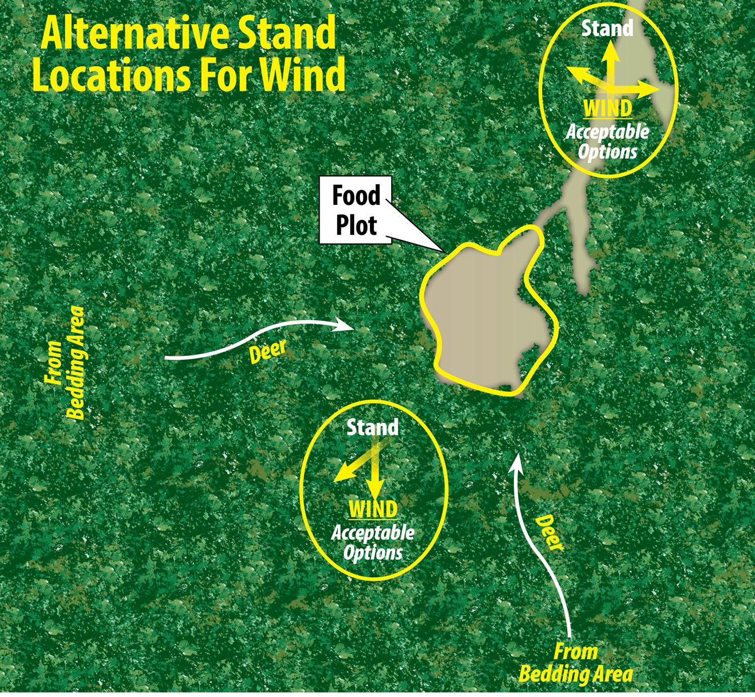 When setting up deer stands, hunters need to make sure the wind is in ...