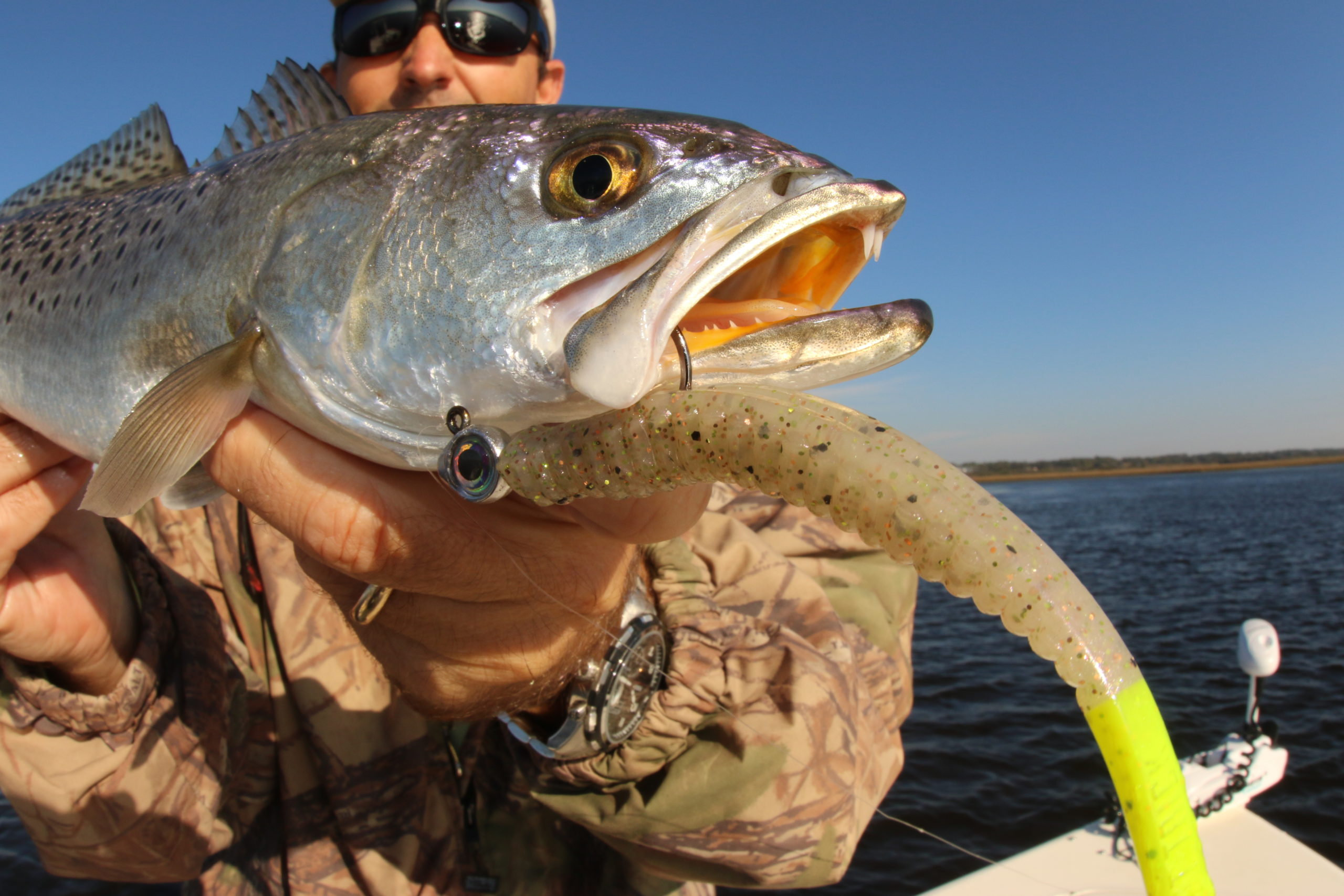 Trout Bite