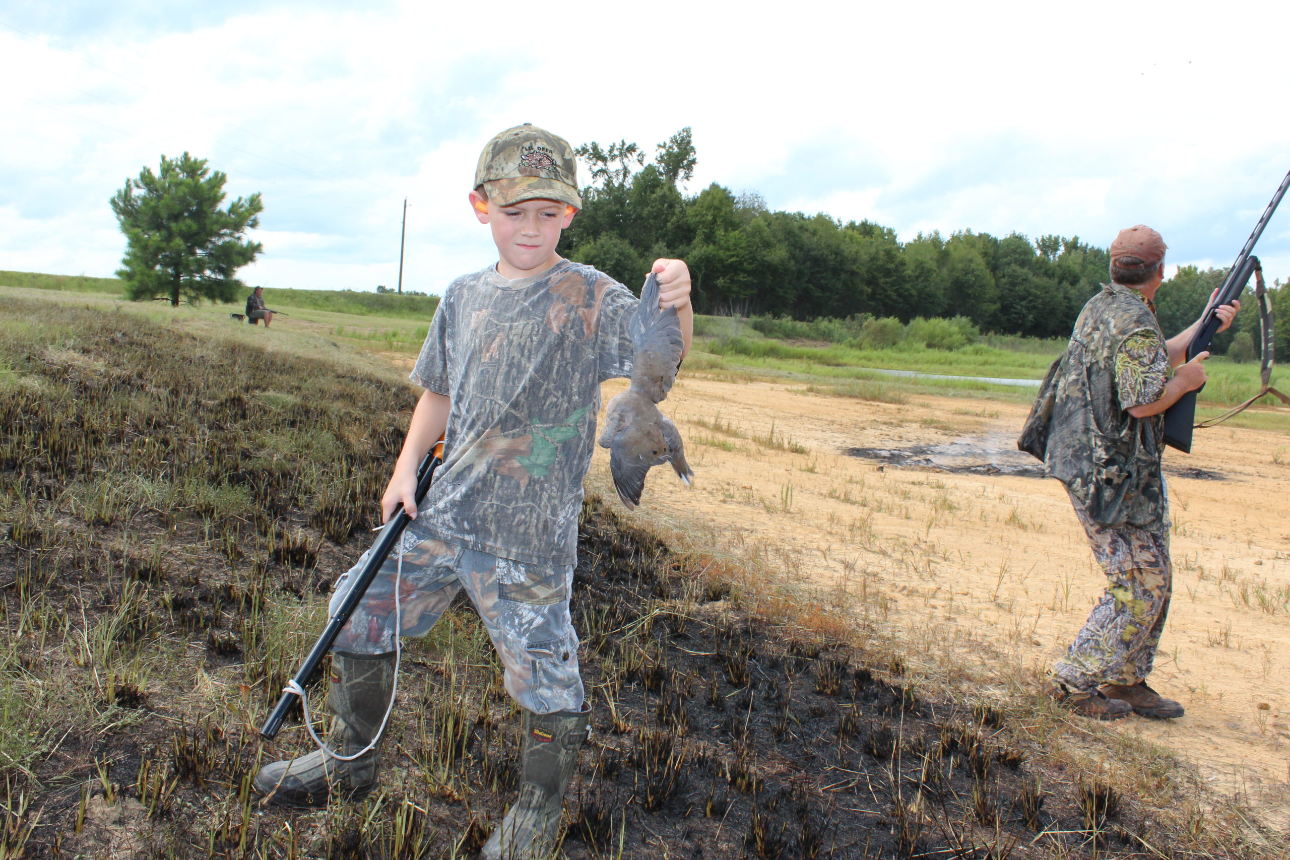 Jan. 15 is deadline to complete dove hunting surveys for SCDNR