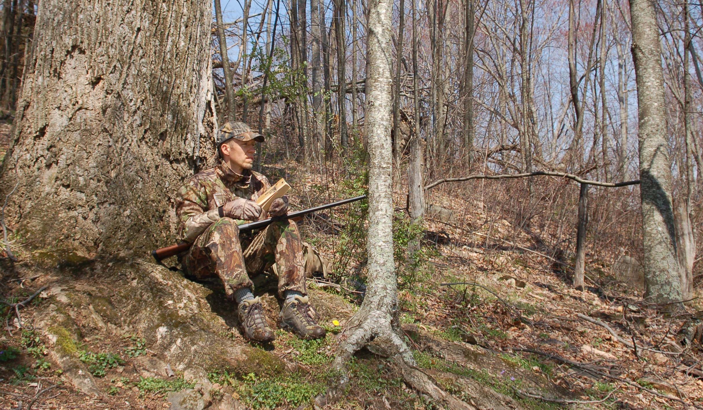 The wild-turkey biologist says....