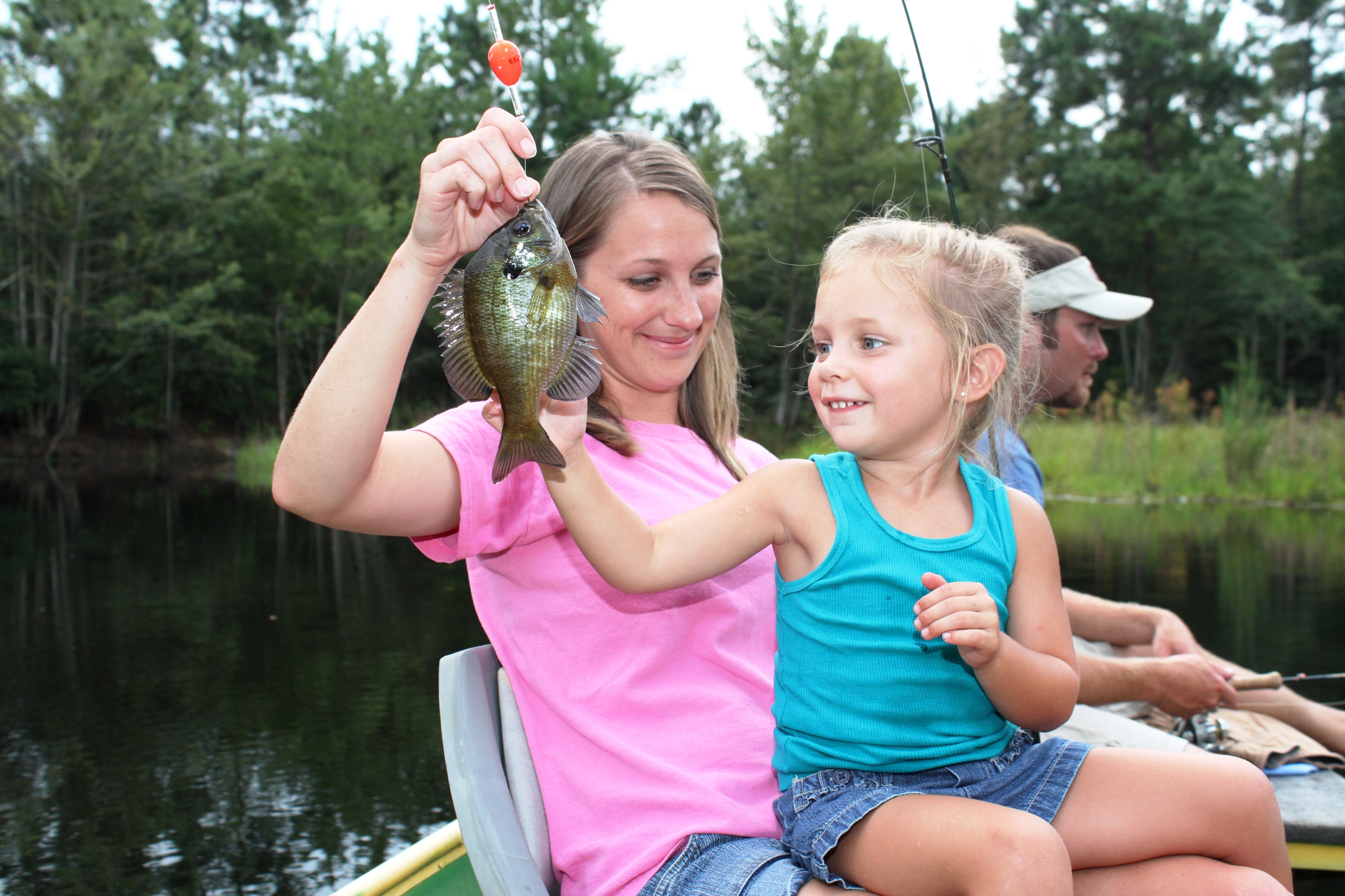 Take Care Not To Fish Out A Bream Bed Take Care Not To Fish Out A Bream Bed