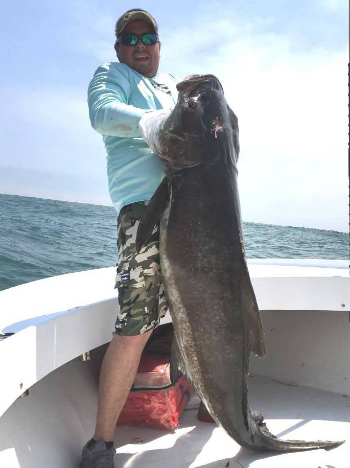 Angler catches near-record cobia out of Hatteras