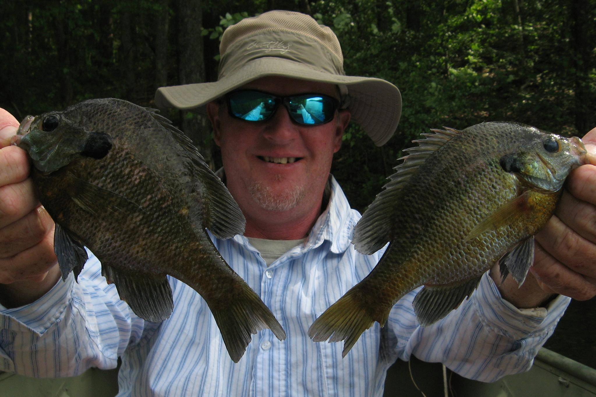 This one tip will help you boat more bream, and bigger ones too