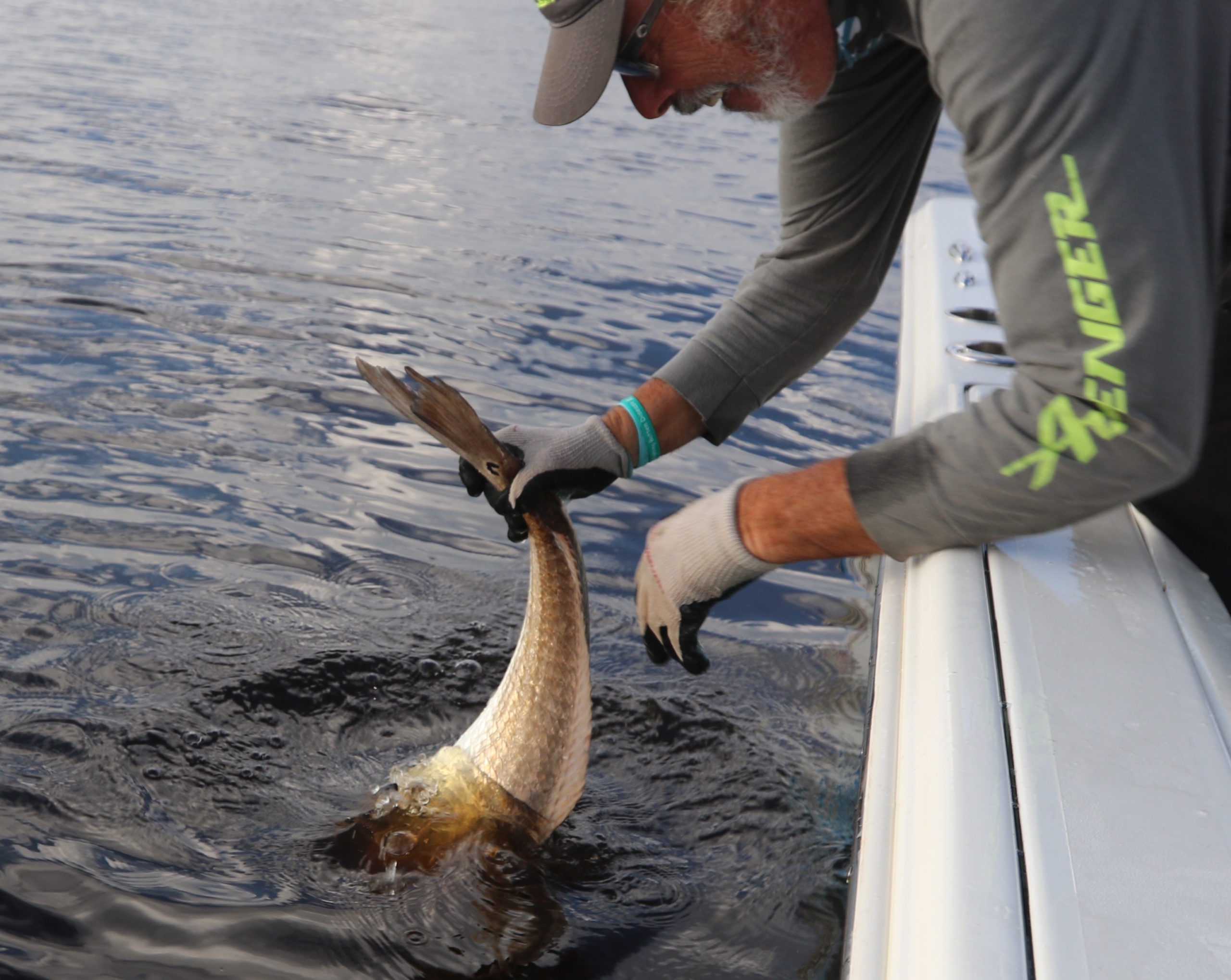 Revive a worn out fish with the wash-down hose