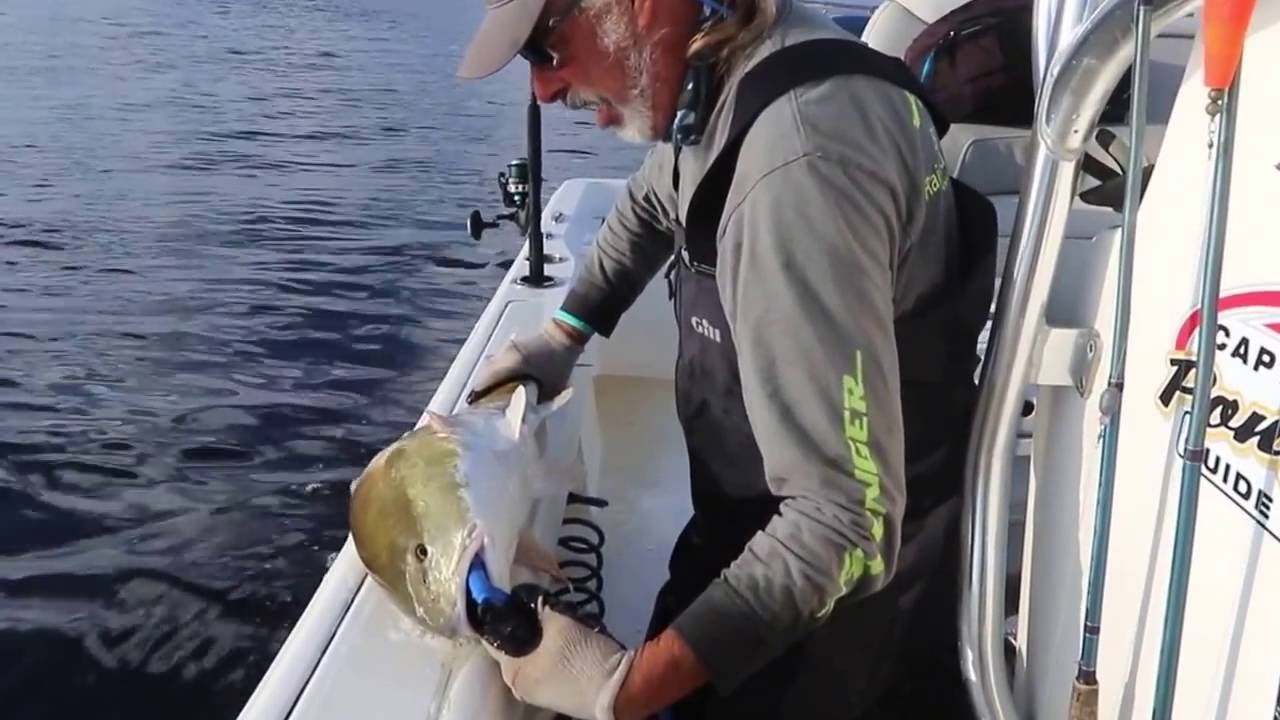 Revive a worn out fish with the wash-down hose