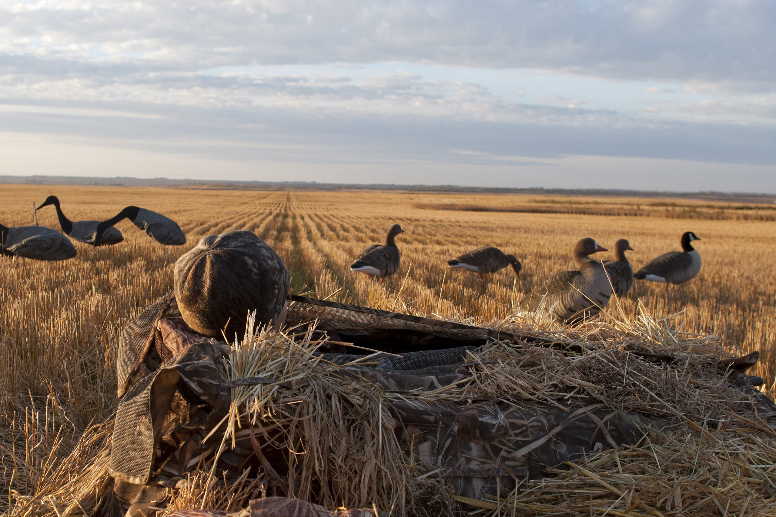 Blinds for goose hunting aren’t all alike