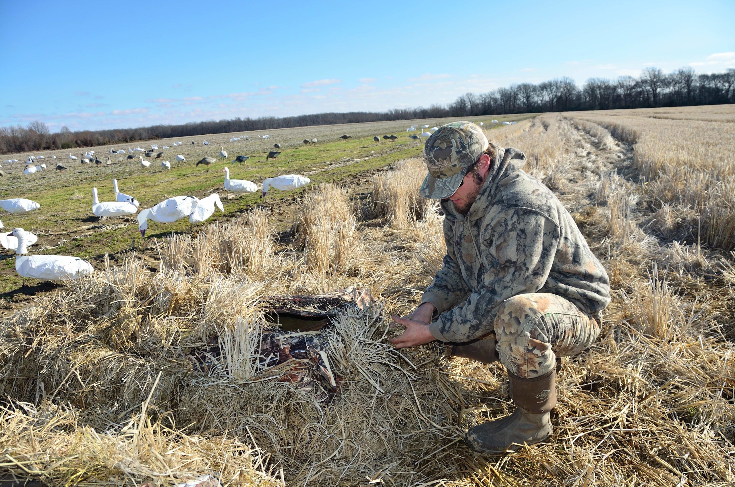 Full-camo, layout blinds or all-white are snow goose concealment options