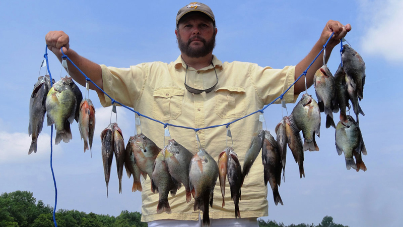 Summer bream are in deep holes, but they're still biting