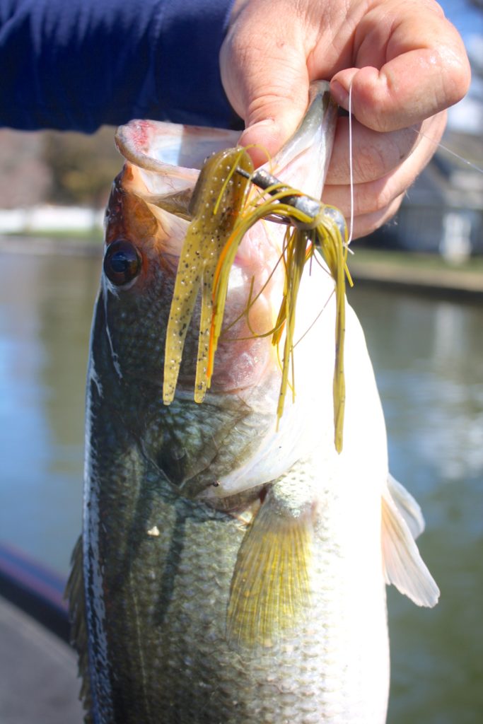 Double your bass-fishing joy by fishing the “J&J” baits on Lake Tillery ...