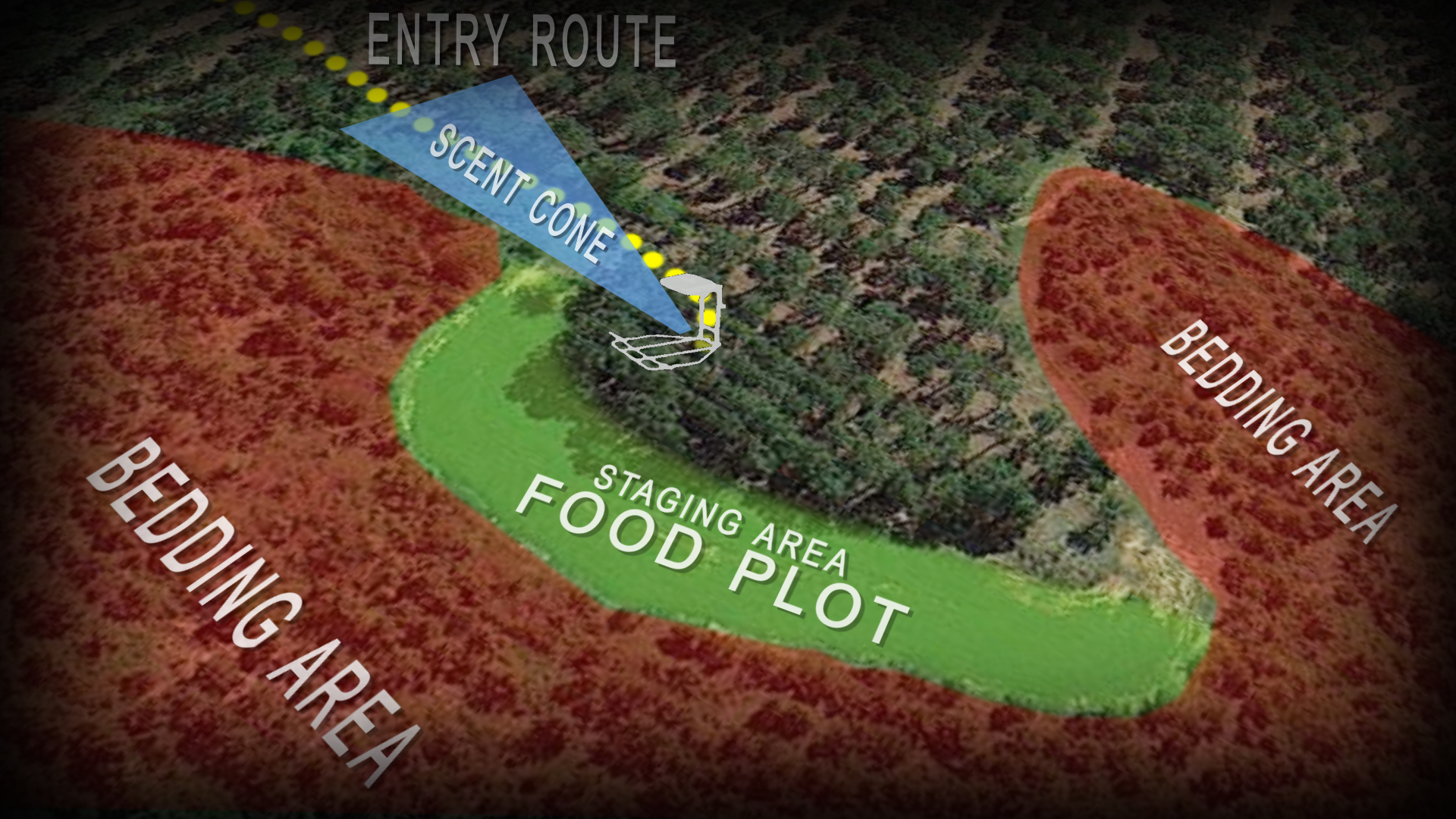 How Big Should A Food Plot Be In Order To Be Effective How Big Should A Food Plot Be In Order To Be Effective