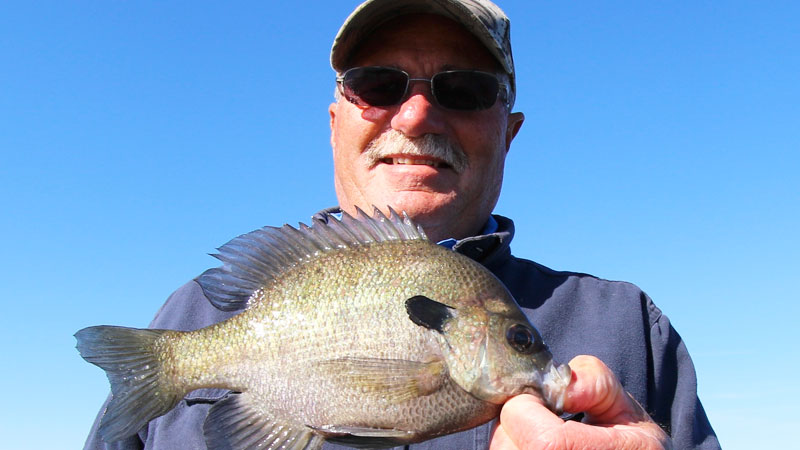 Lake Wateree bream: Look for deeper holes in April - Carolina Sportsman