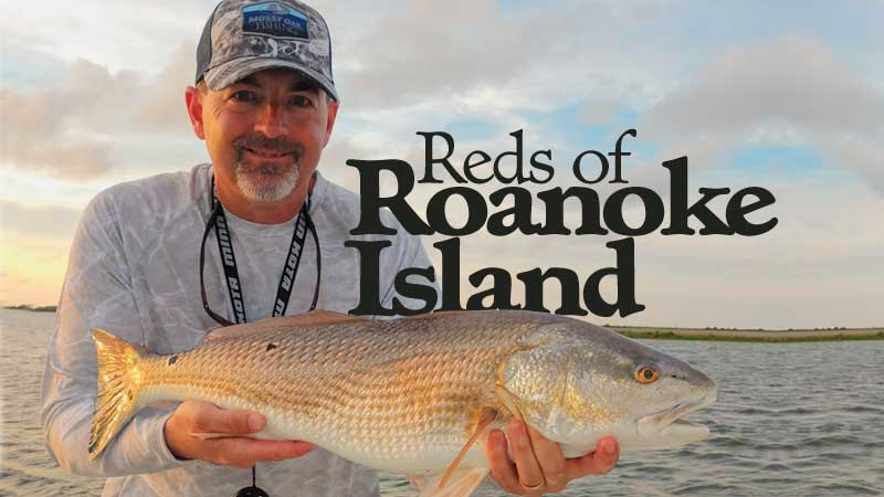 The reds of Roanoke Island - Carolina Sportsman