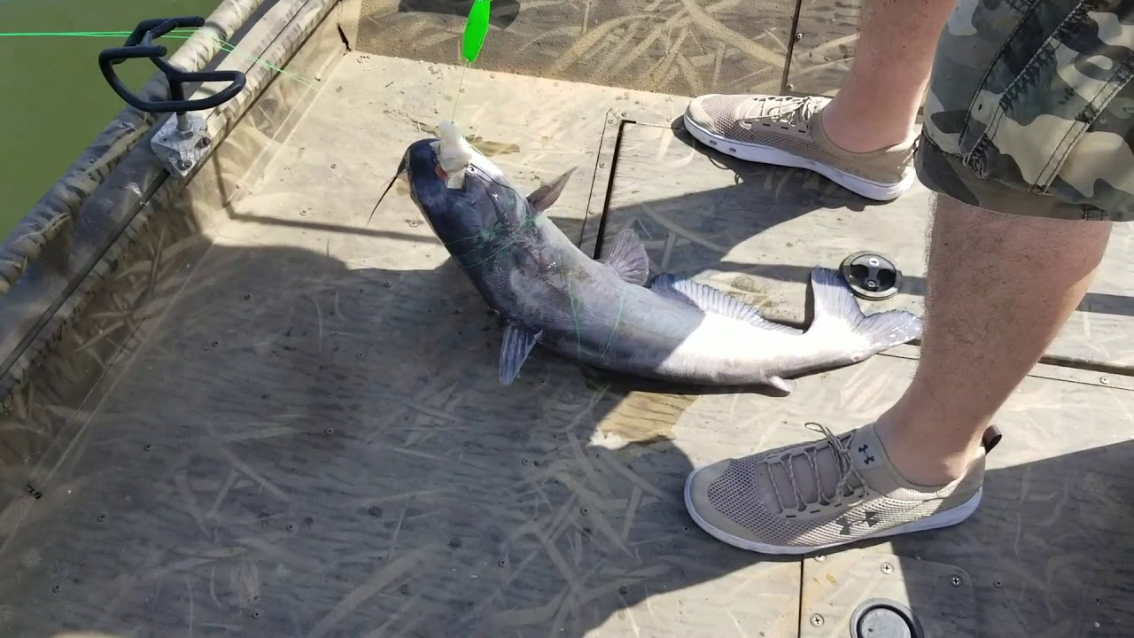 Drifting is a great technique for catfishing - Carolina Sportsman