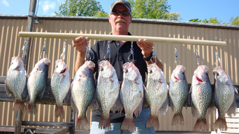 Top tips for catching crappie with jigging spoons - Carolina Sportsman