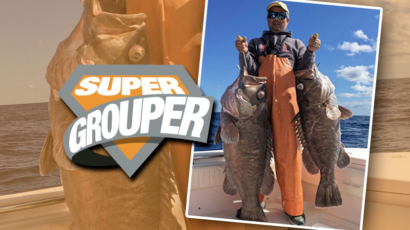 Time for North Carolina’s super grouper - Carolina Sportsman