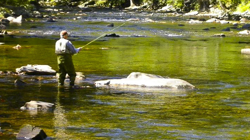 Oldies but goodies still work great for trout - Carolina Sportsman