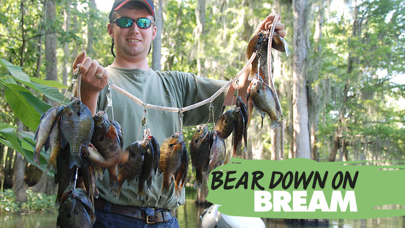 Bream season arrives in Carolinas on May full moon - Carolina Sportsman