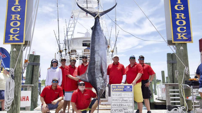 41 billfish released on Day 1 of Big Rock Blue Marlin Tournament ...