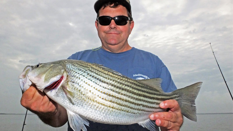 December is a big month for big fish on the Santee Cooper lakes ...
