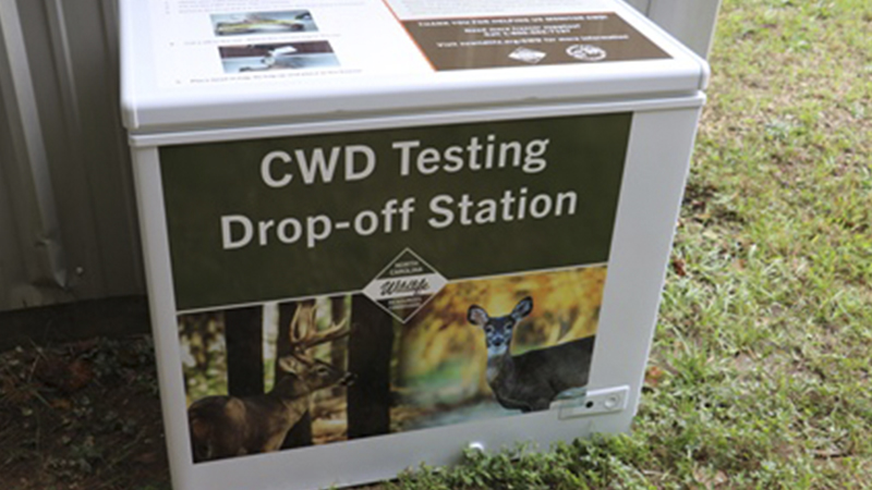 NCWRC requesting more deer samples from hunters - Carolina Sportsman