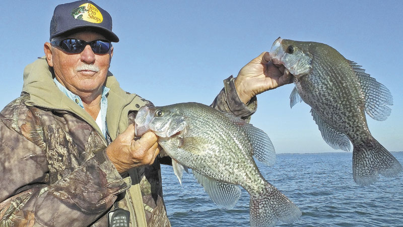 Blue Crappie