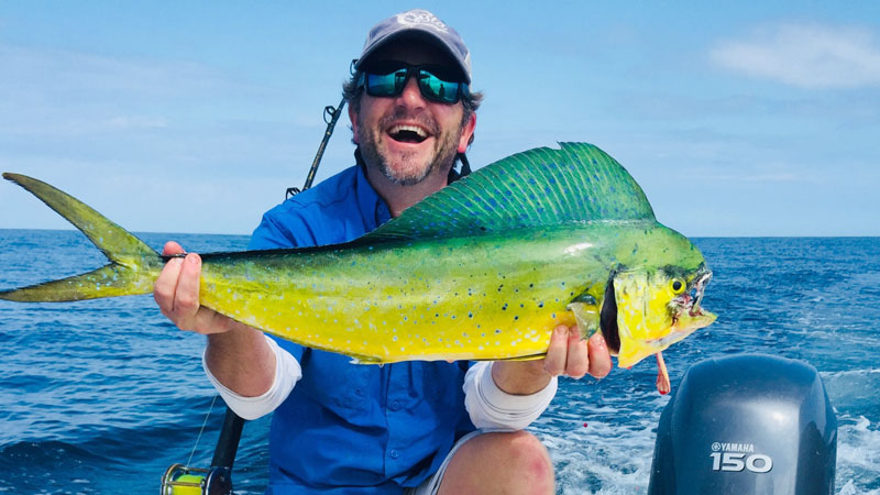 North Carolina’s dolphin and sailfish alley - Carolina Sportsman