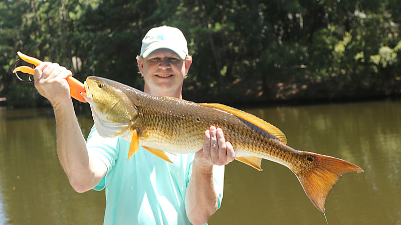 Hilton Head’s lagoon gives up trophy redfish - Carolina Sportsman