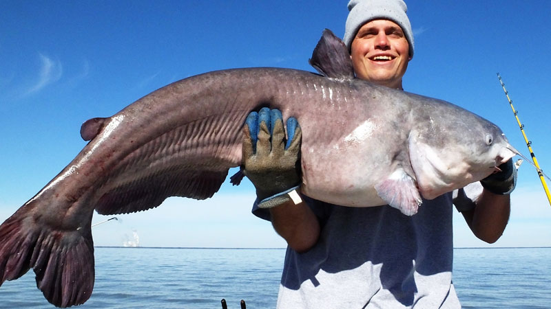 November is big fish time at Santee Cooper - Carolina Sportsman