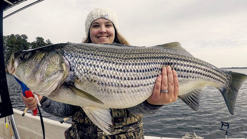 Jigging and trolling for Gaston’s stripers - Carolina Sportsman