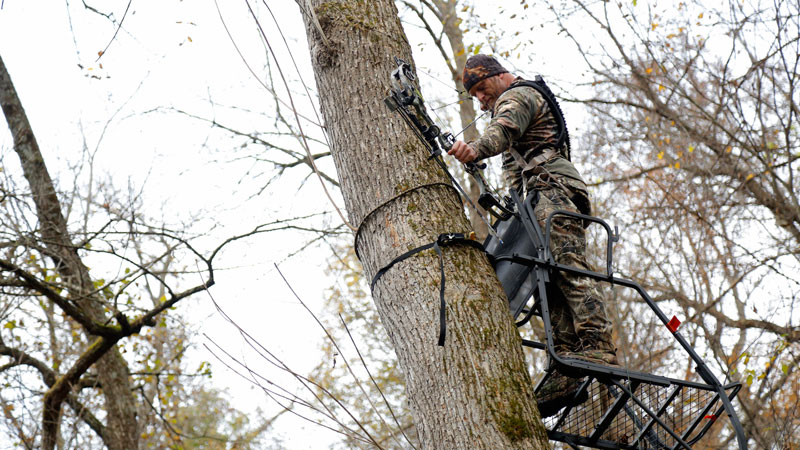 How to stay safe in the tree stand - Carolina Sportsman